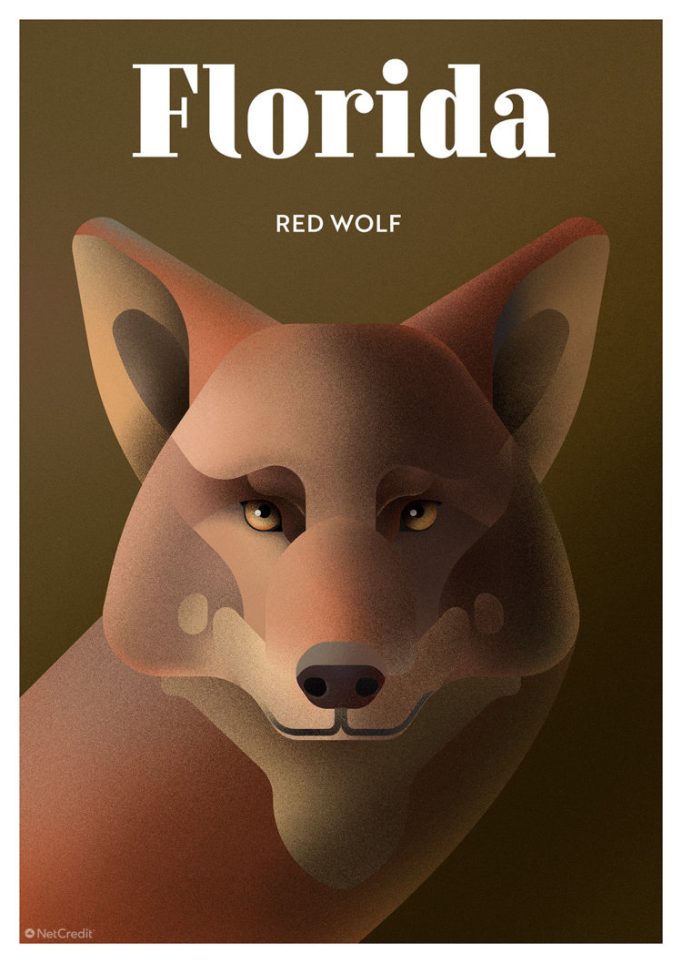 An Illustrated Tribute to the Most Endangered Wildlife in Every US ...