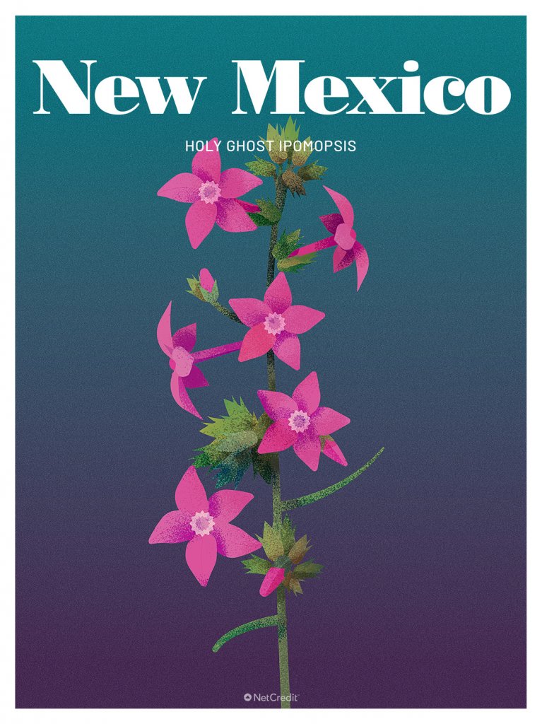 An Illustrated Tribute to the Most Endangered Plant in Every U.S. State ...